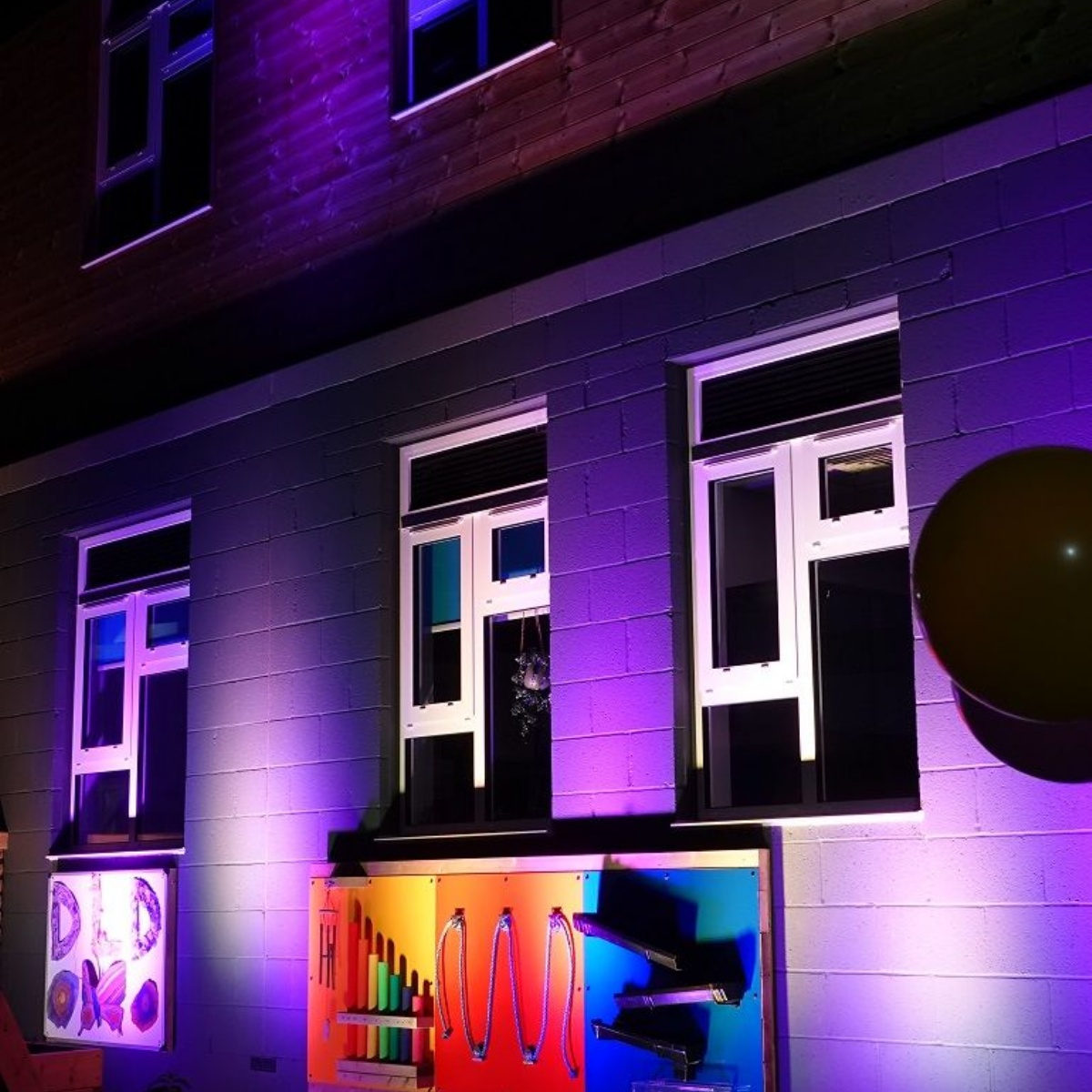 Moor House School & College - Moor House turns purple and yellow for DLD